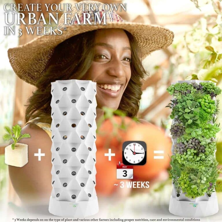 Complete Indoor Hydroponic Grow System | Highly Efficient